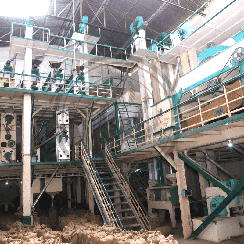 Organic Rice in different varieties | Shiv Shakti International